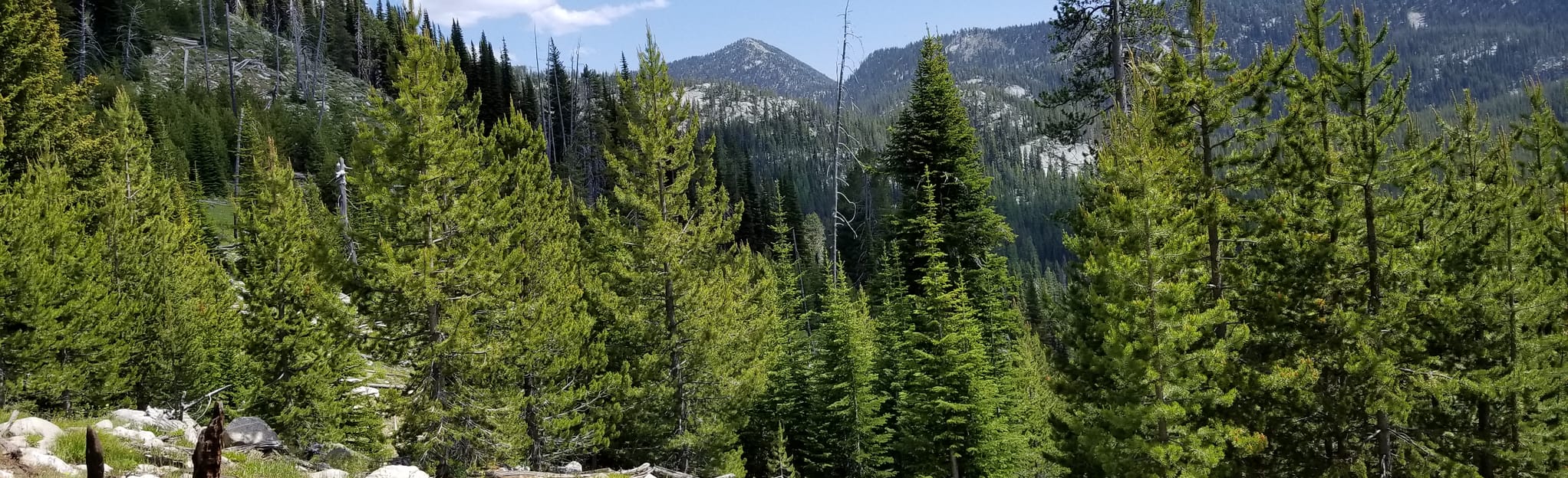 Crawfish Lake, Oregon - 54 Reviews, Map | AllTrails