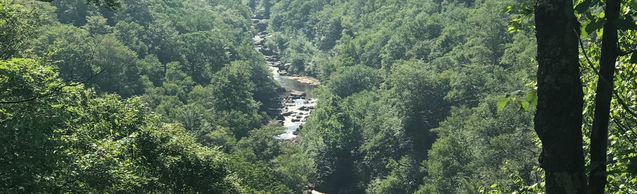 Blackwater Canyon Trail: 91 Reviews, Map - West Virginia | AllTrails