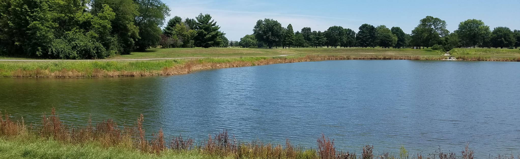 Three Springs Loop | Map, Guide - Illinois | AllTrails