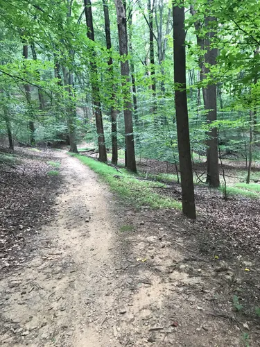 10 Best Hikes and Trails in Loch Raven Reservoir | AllTrails