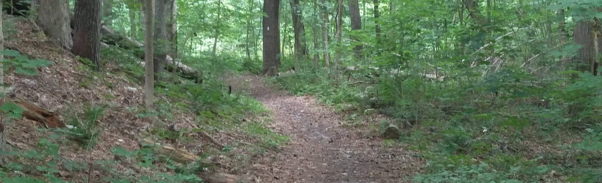 Manhan River Trail - Massachusetts | AllTrails