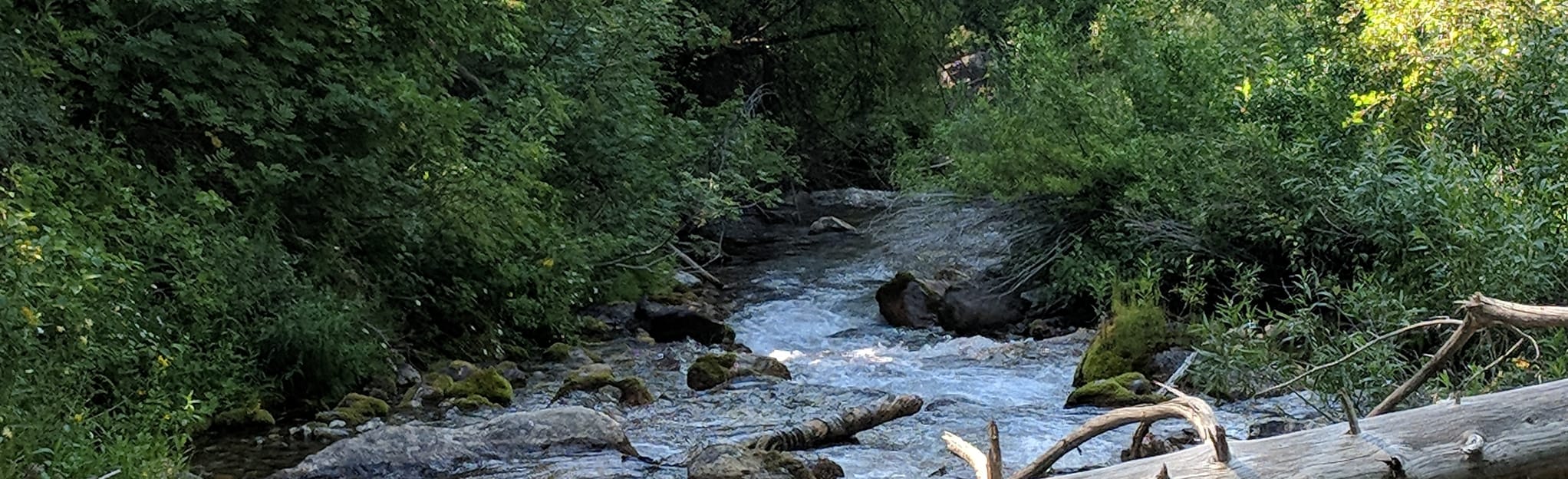 Middle Fork Waterfall, Utah - 240 Reviews, Map | AllTrails