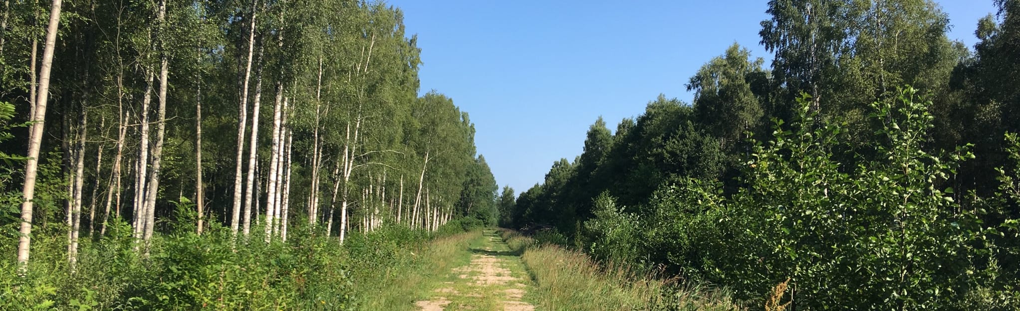 Pape Lake Nature Trail: 6 Reviews, Map - Courland, Latvia | AllTrails