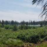 Isberg Trail and Joe Crane Loop, California - 13 Reviews, Map | AllTrails