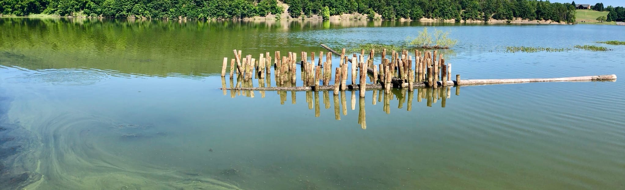 Colyer Lake Loop, Pennsylvania - 630 Reviews, Map | AllTrails