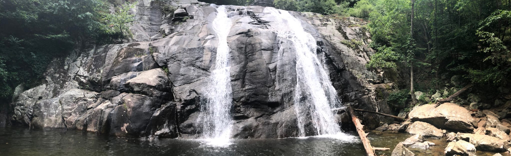 Cedar Run Trail to White Oak Fire Road Loop - Virginia | AllTrails