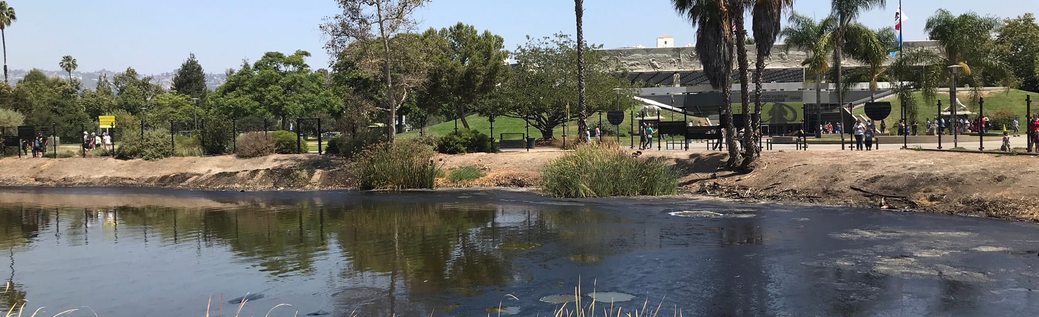 Hancock Park and La Brea Tar Pits Loop, California - 104 Reviews, Map ...