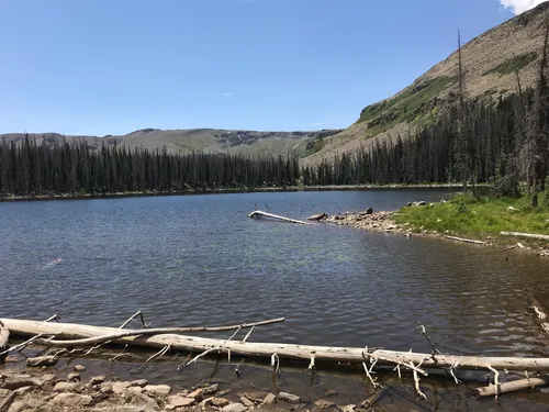 10 Best Easy Trails in Rio Grande National Forest, Divide Ranger ...
