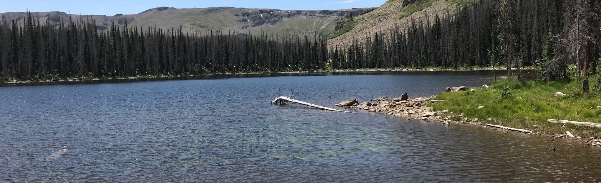 Hunters Lake Loop, Colorado - 19 Reviews, Map | AllTrails