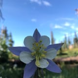 Point Supreme Overlook Trail, Utah - 75 Reviews, Map | AllTrails