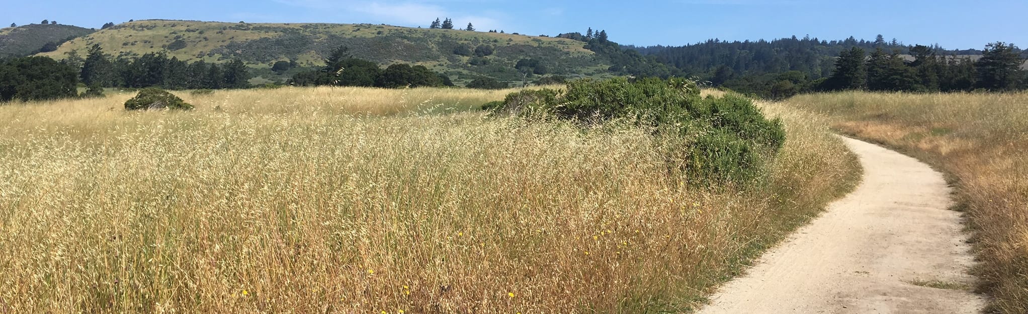 UCSC to the Sea: 142 Reviews, Map - California | AllTrails