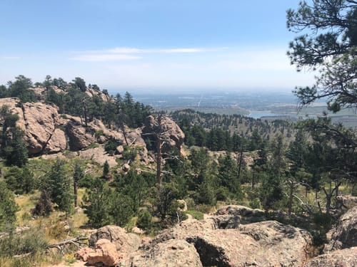 2023 Best Forest Trails in Horsetooth Mountain Open Space | AllTrails