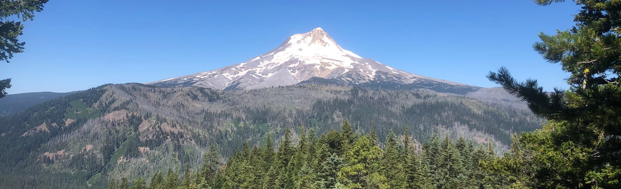 Badger Lake Trail, Oregon - 60 Reviews, Map | AllTrails