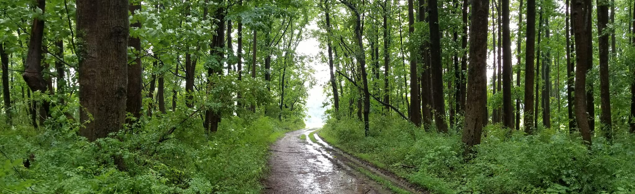 Gunpowder Falls Blue Trail Loop | Map, Guide - Maryland | AllTrails