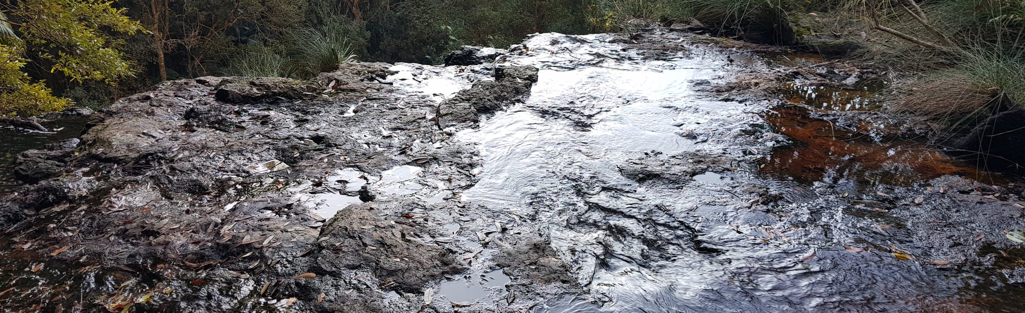 Boomerang Falls, New South Wales, Australia - 26 Reviews, Map | AllTrails