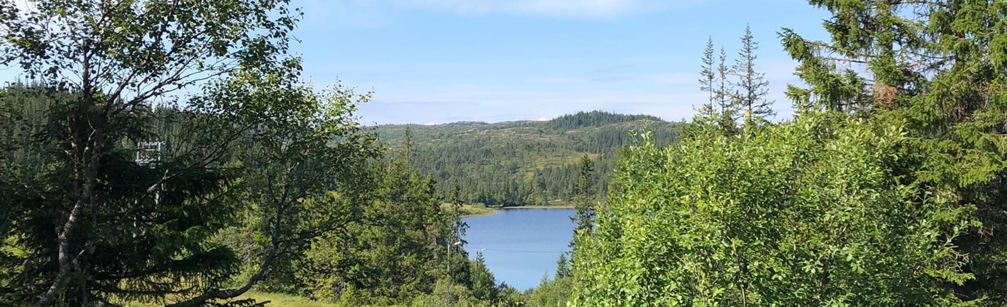 Elgsethytta via Fjellseterveien, Trøndelag, Norway - 46 Reviews, Map ...