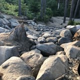 Tahuya Lookout OHV Loop , Washington - 122 Reviews, Map | AllTrails