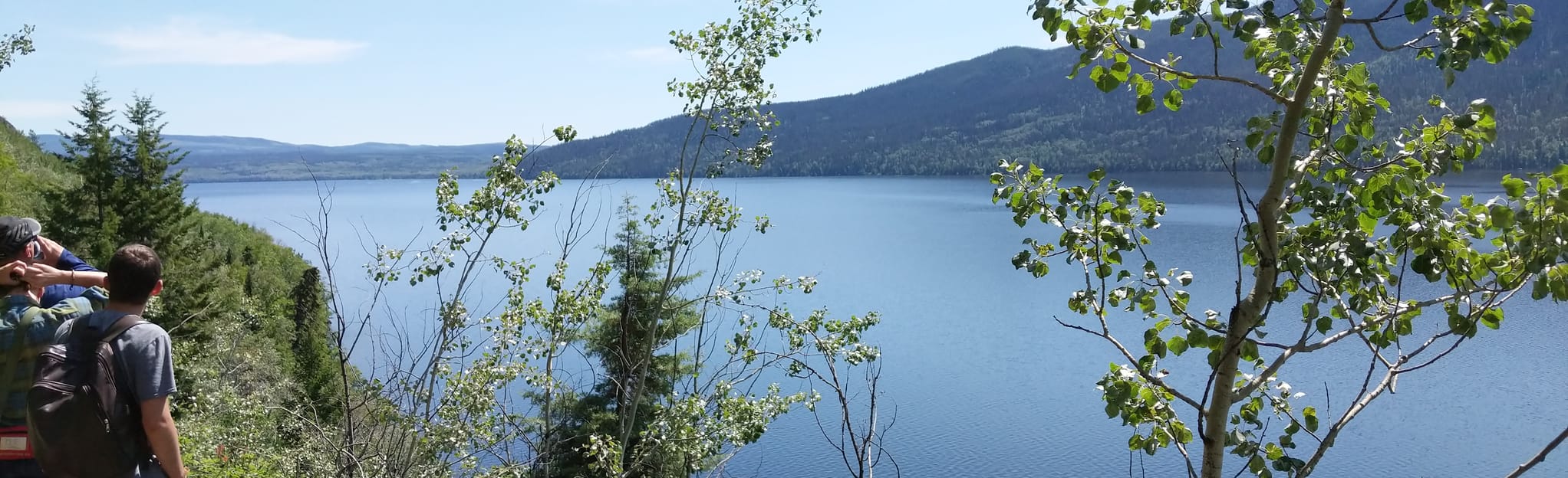 Francois Lake Trail , British Columbia, Canada - 11 Reviews, Map ...