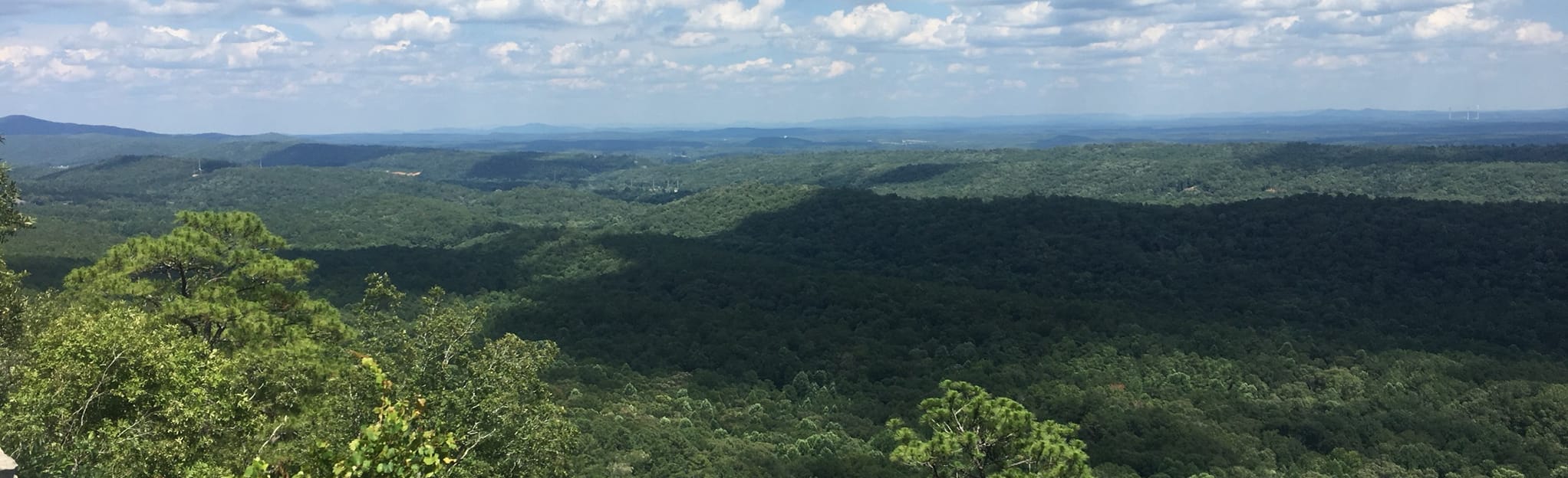 Kings Chair Loop : 2465 Photos - Alabama | Randonnée | AllTrails