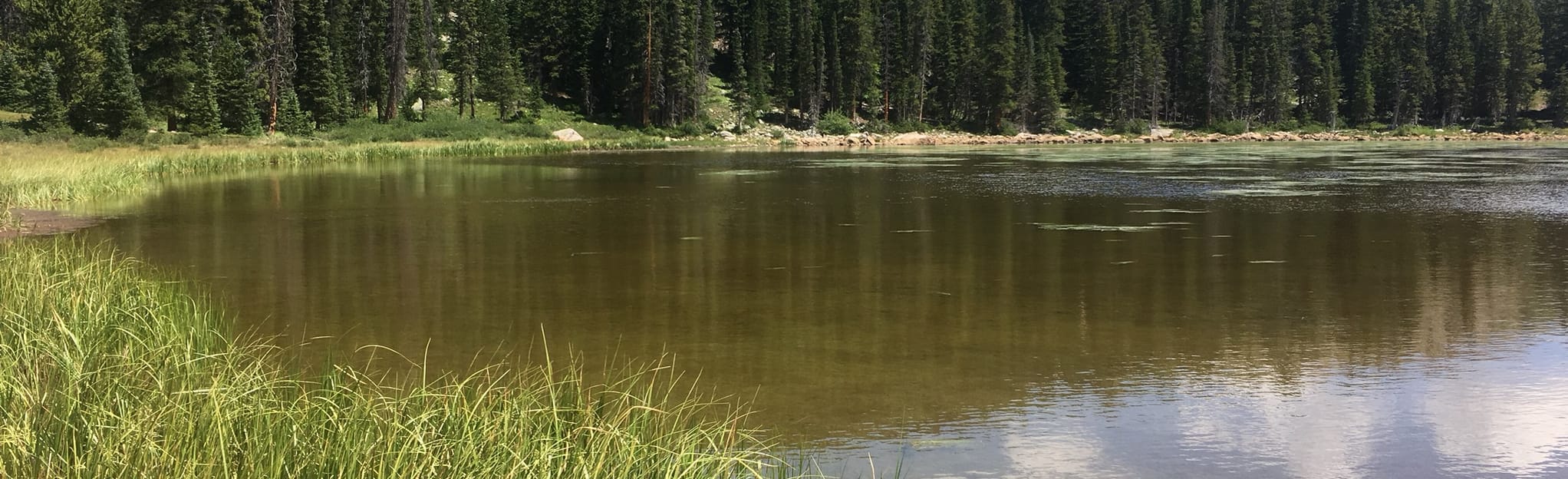 Native Lake Trail, Colorado - 212 Reviews, Map | AllTrails