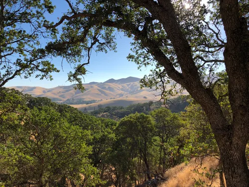 Best 10 Hiking Trails in Shell Ridge Open Space | AllTrails