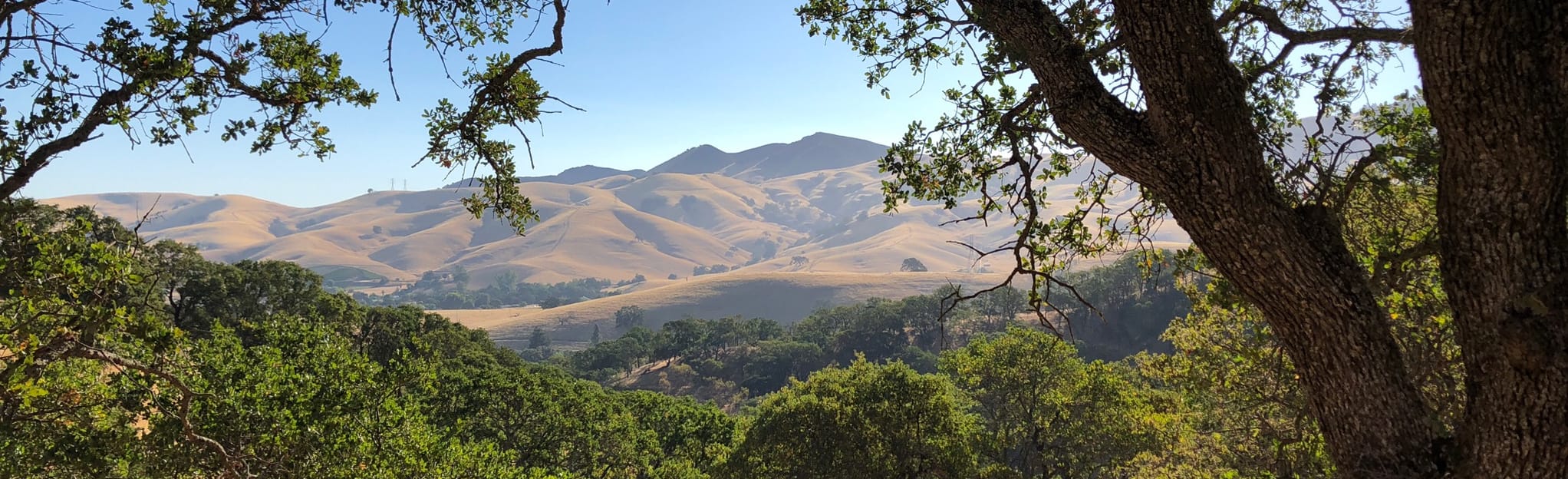 Costanoan and Hanna Grove Loop: 434 Reviews, Map - California | AllTrails