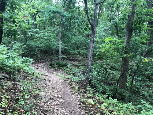 10 Best Hikes and Trails in Shawnee Mission Park | AllTrails