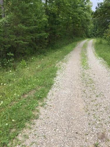 Best Hikes and Trails in Stampede Run Horse Camp | AllTrails