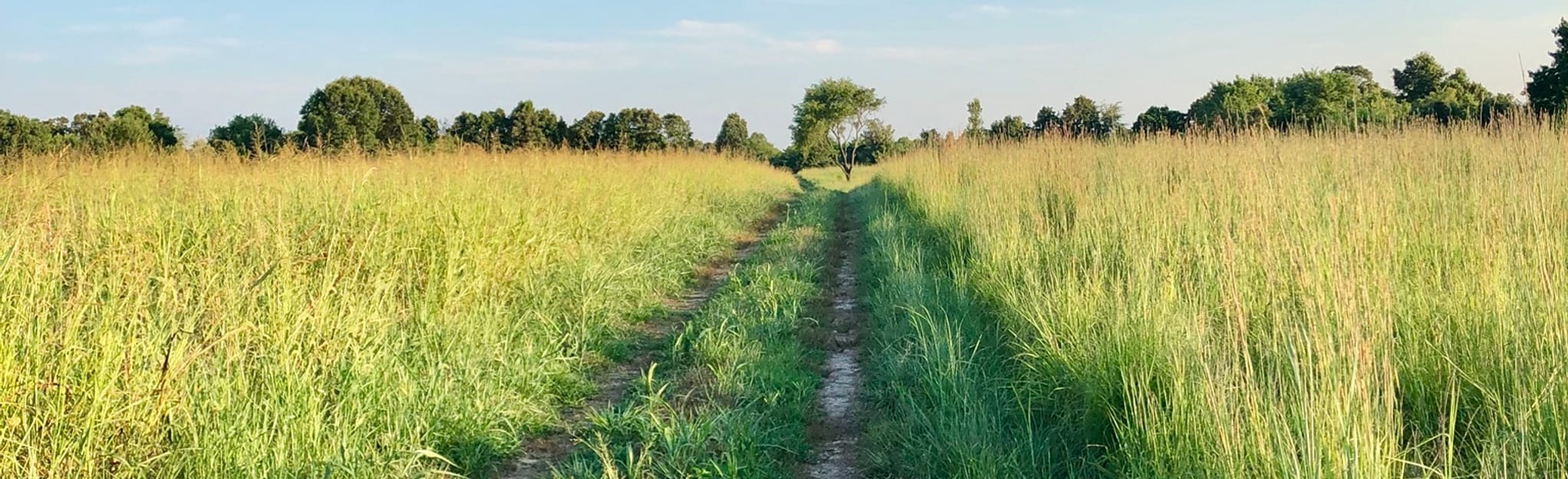 Talbot Conservation Loop, Missouri - 12 Reviews, Map | AllTrails