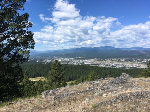 2023 Best Long Trails in Cranbrook Community Forest Recreation Site ...