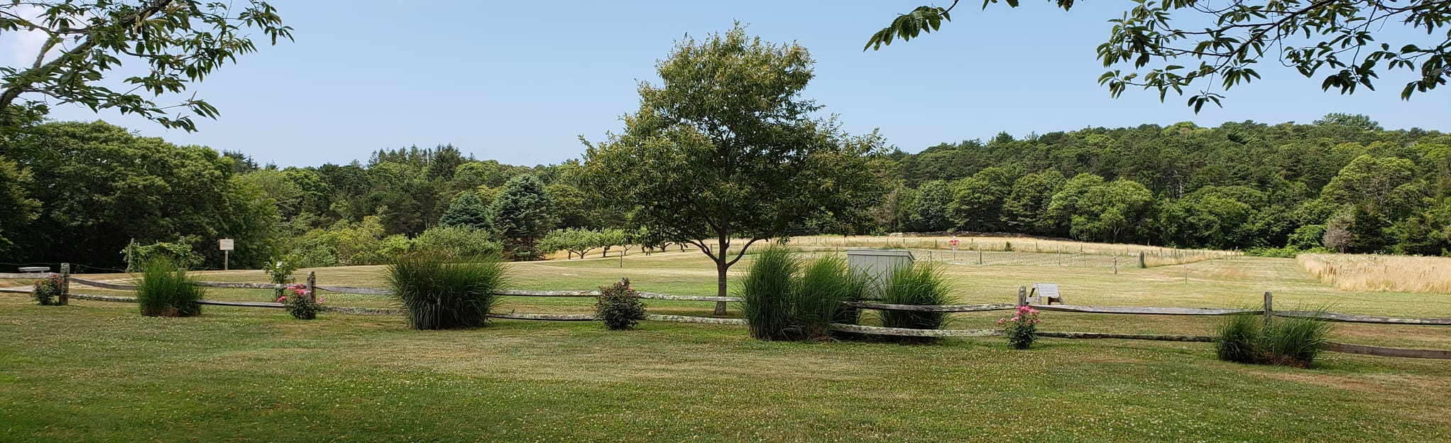 Bourne Farm Big Loop Trail, Massachusetts - 58 Reviews, Map | AllTrails