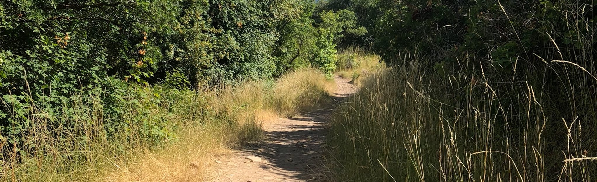 Dark Trail: 339 Reviews, Map - Utah | AllTrails