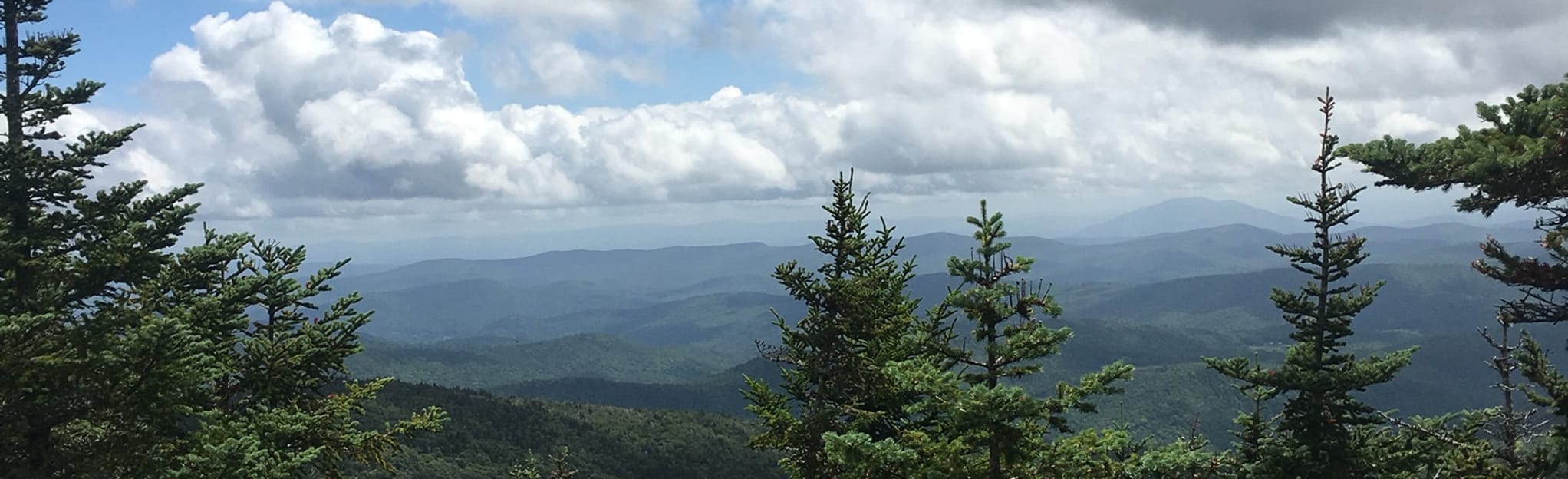 Shrewsbury Peak via Black Swamp Trail: 148 Reviews, Map - Vermont ...