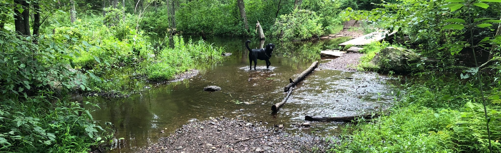 Portland Reservoir and Meshomasic Mountain Loop, Connecticut - 46 ...