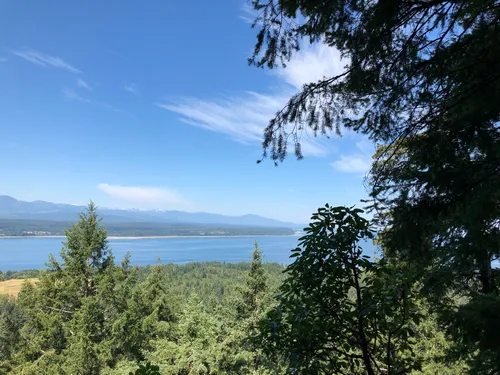 10 Best Trails and Hikes in Comox Valley A | AllTrails