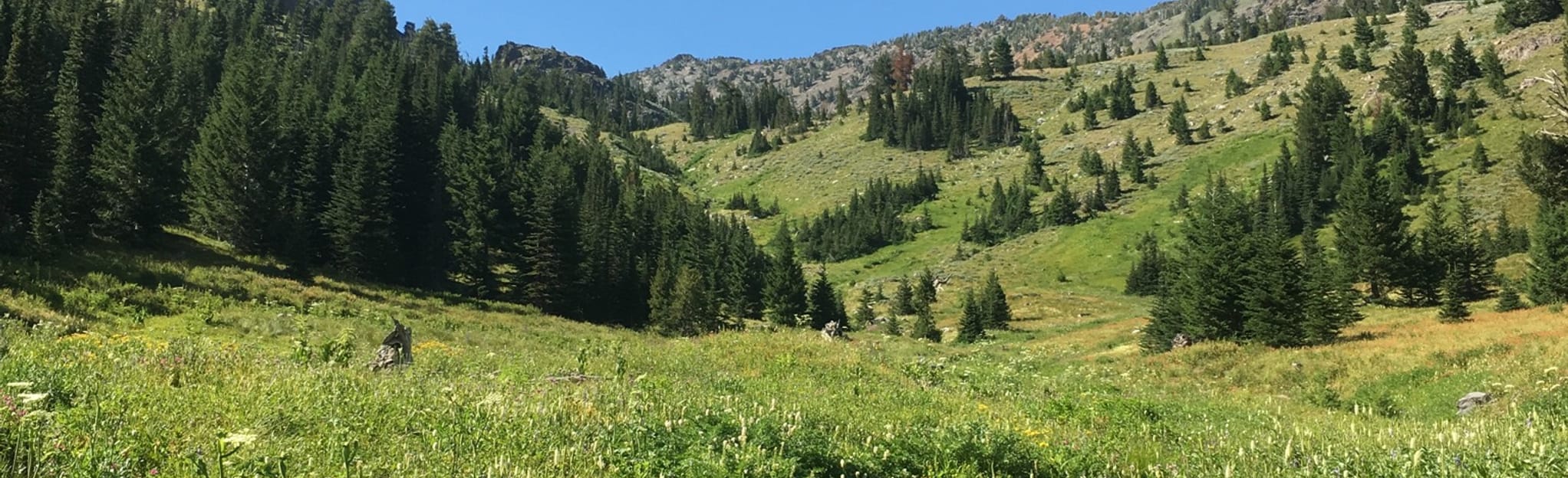Elkhorn Ridge Loop: 1 Reviews, Map - Oregon | AllTrails