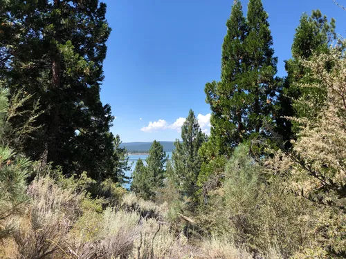 10 Best Trails and Hikes in Susanville | AllTrails