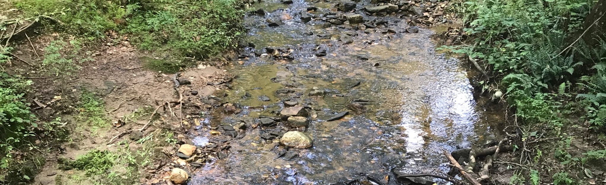 Redd Park Trail, Delaware - 258 Reviews, Map | AllTrails