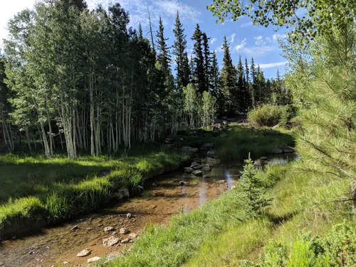 Best Hikes and Trails in Duck Creek Village | AllTrails