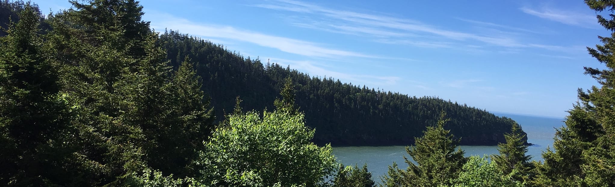 Fundy Footpath: Point Wolf to Verandah Observation Deck - New Brunswick ...