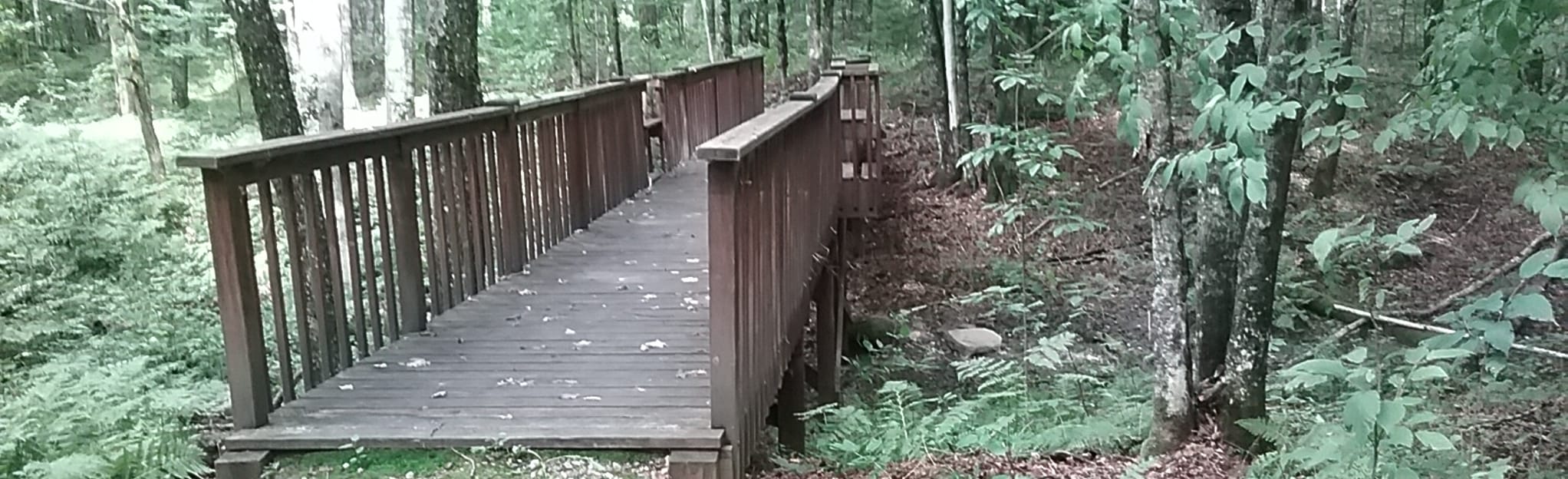 Presque Isle Nature Trail: 3 Reviews, Map - Wisconsin | AllTrails