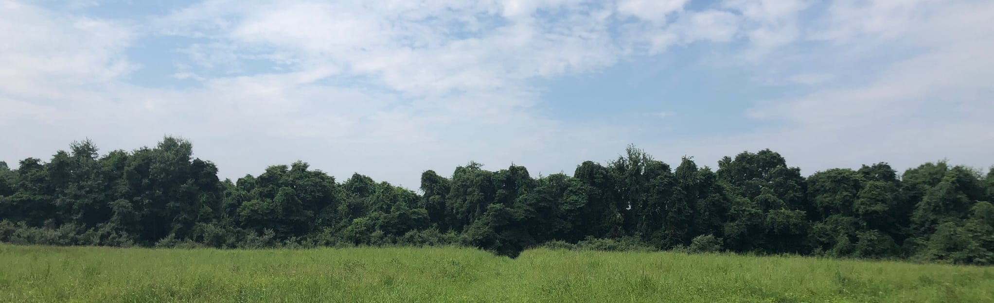 Cushetunk Mountain Blue Trail from Pickell Park: 652 Fotos - New Jersey ...