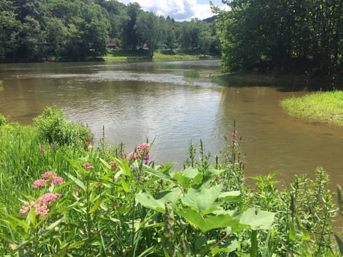 Best Trails in Buckaloons Recreation Area | AllTrails