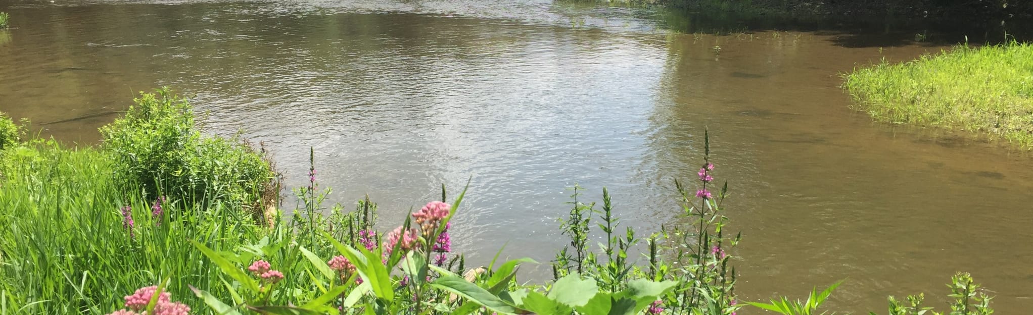 Buckaloons Scenic Trail, Pennsylvania - 24 Reviews, Map | AllTrails