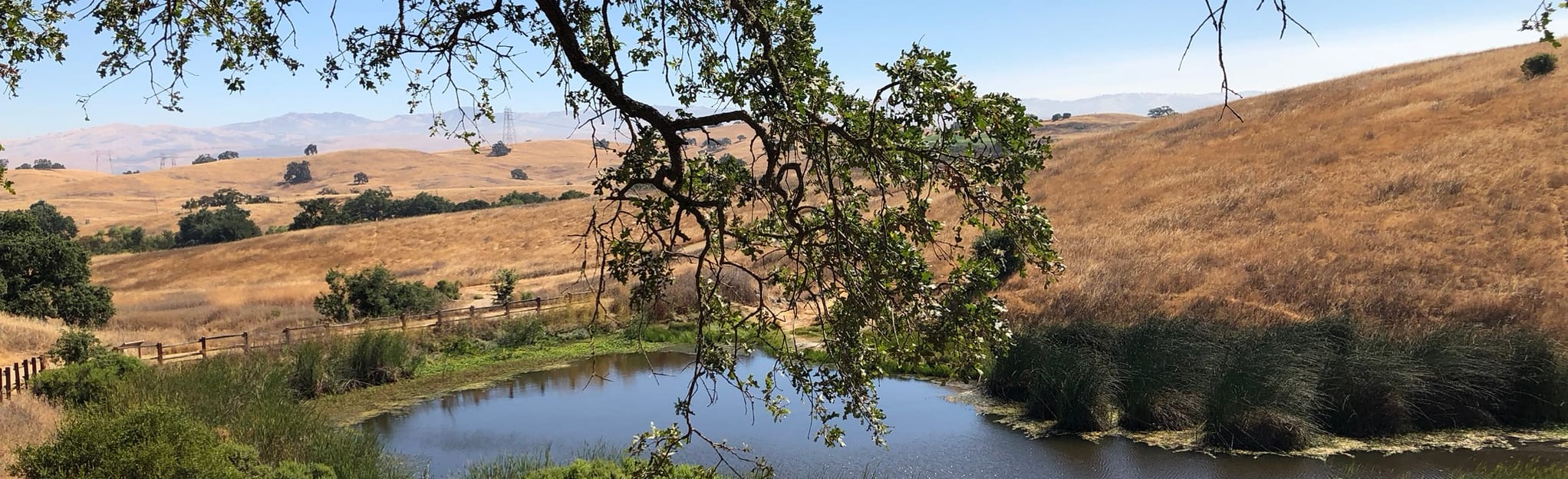 Figueroa, Valecito, Pena and Los Cerritos Trail Loop, California - 368 ...