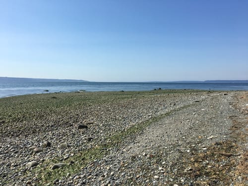 Best Hikes and Trails in Possession Point State Park | AllTrails