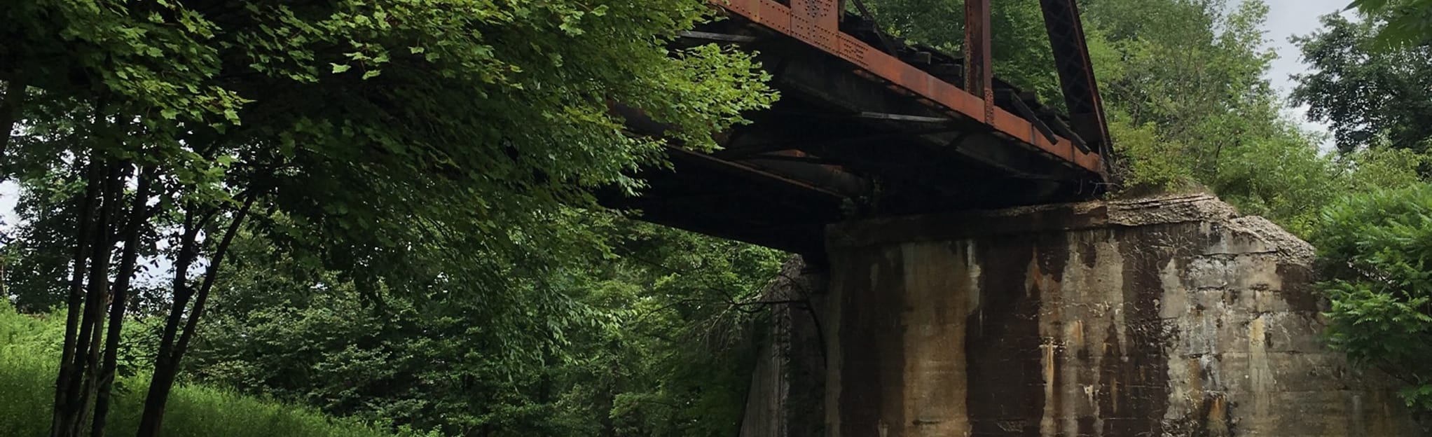 Mahoning Shadow Trail, Pennsylvania - 156 Reviews, Map | AllTrails