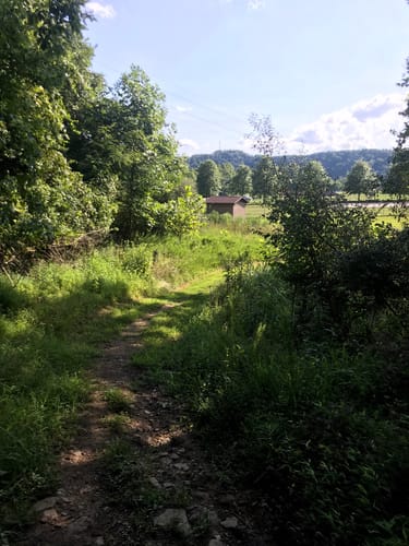 Best 10 Hikes and Trails in Barboursville City Park | AllTrails