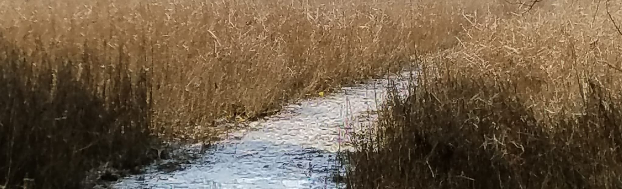 Table Rock Loop, Iowa - 30 Reviews, Map | AllTrails