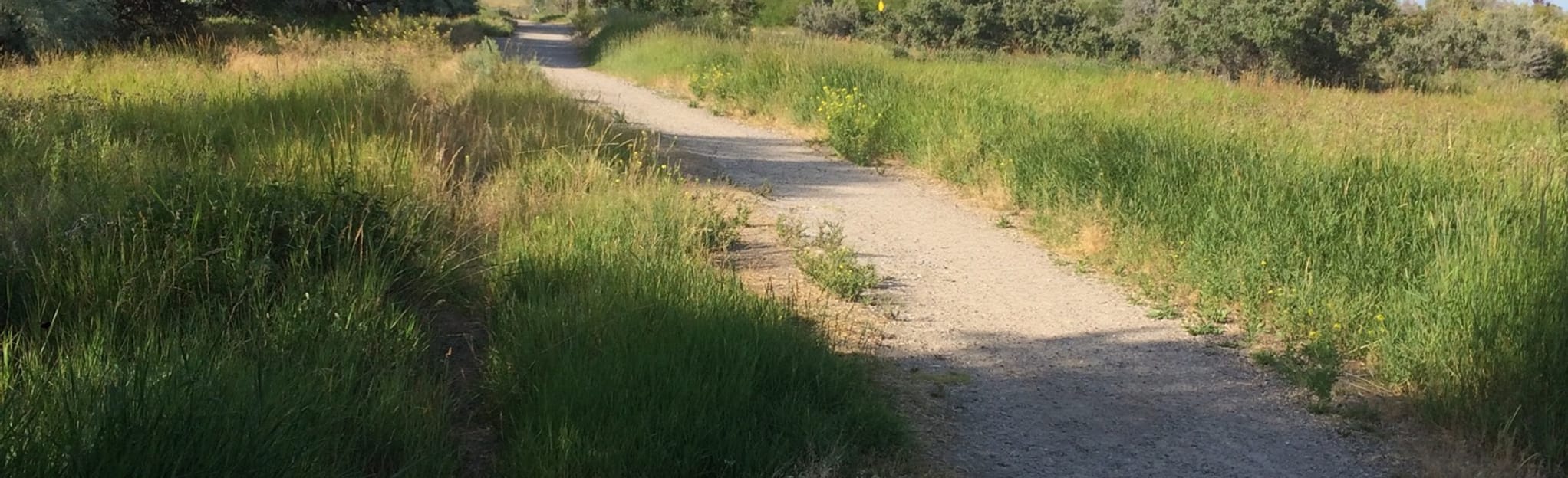 Pigtail Connector Trail, Montana - 2 Reviews, Map | AllTrails